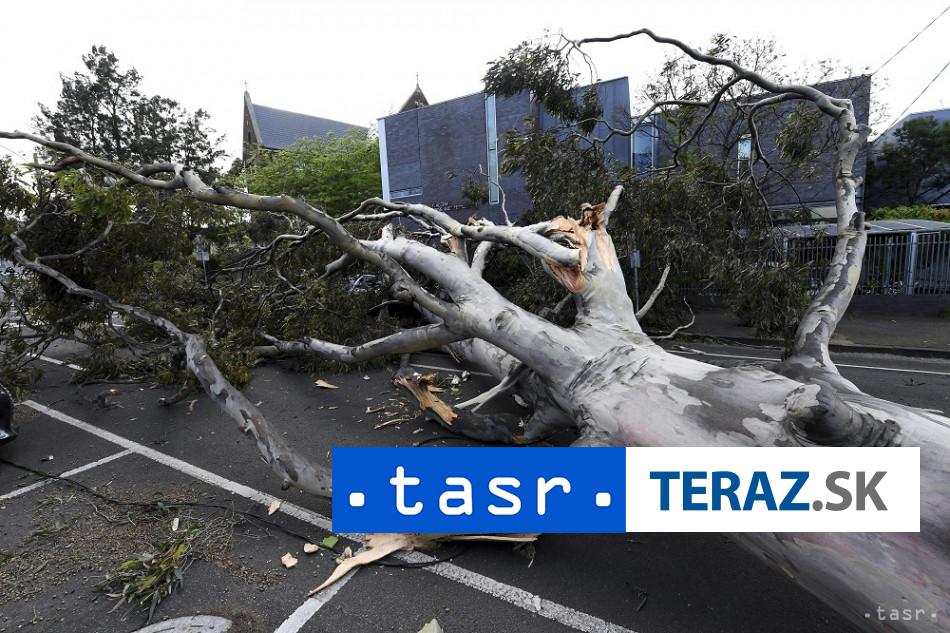 Popadané stromy komplikujú dopravu najmä v Trnavskom kraji