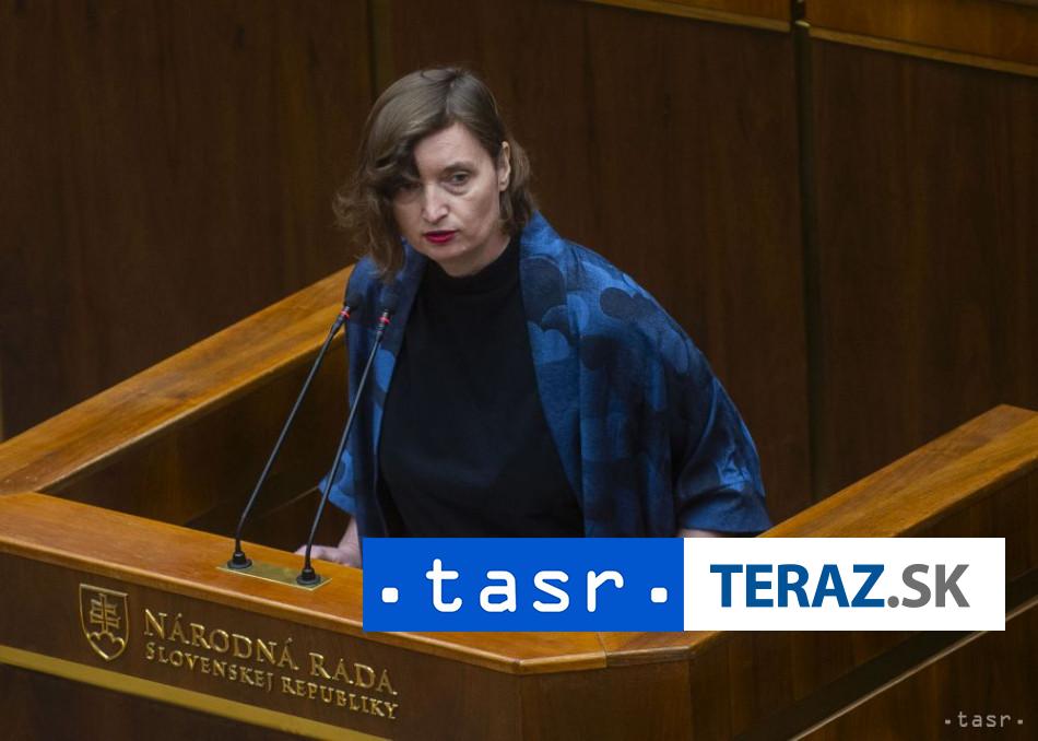 Ústavný súd prijal sťažnosť L. Plavákovej v kauze vykázania z NR SR