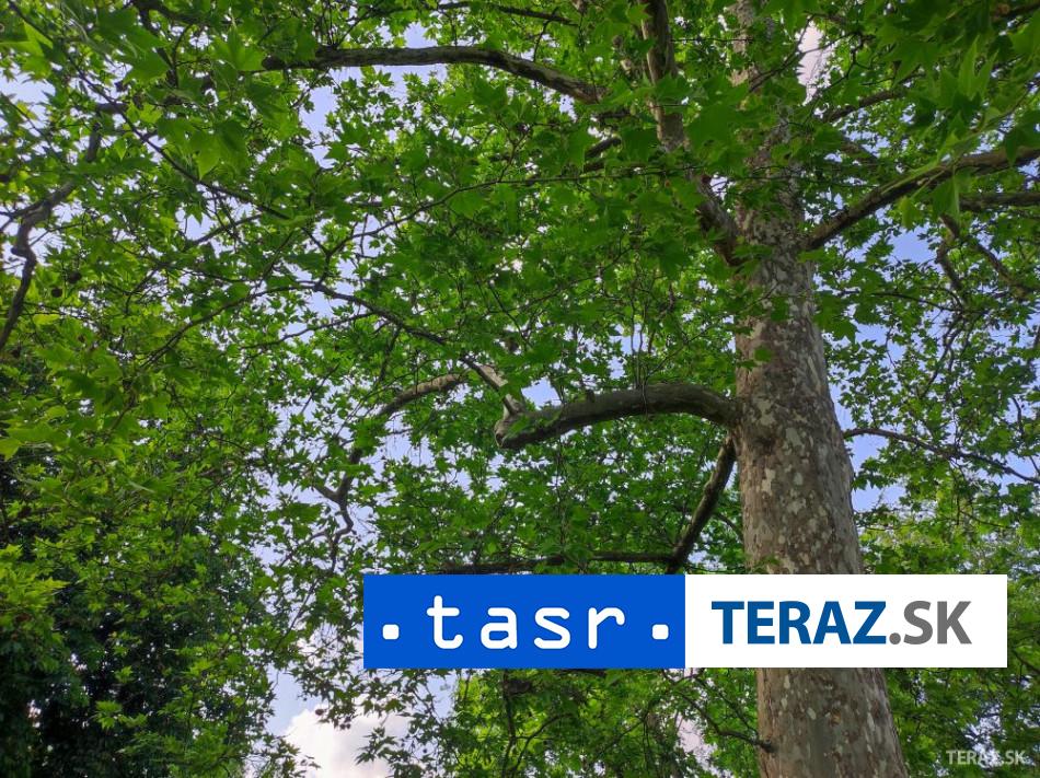 Papua-Nová Guinea ruší svoj zákaz obchodovania s uhlíkovými kreditmi