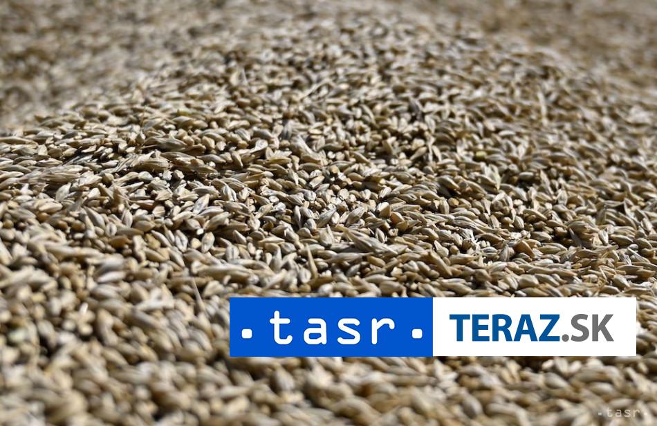 Zelenskyj: Obilie z Ukrajiny zachránilo pred hladom 20 miliónov ľudí