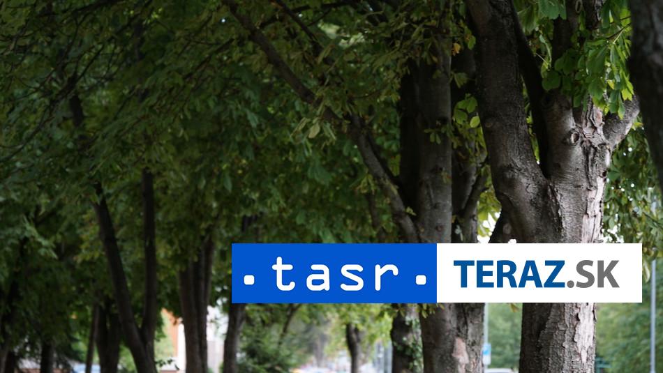 Nitra začala pracovať na komplexnej evidencii stromov