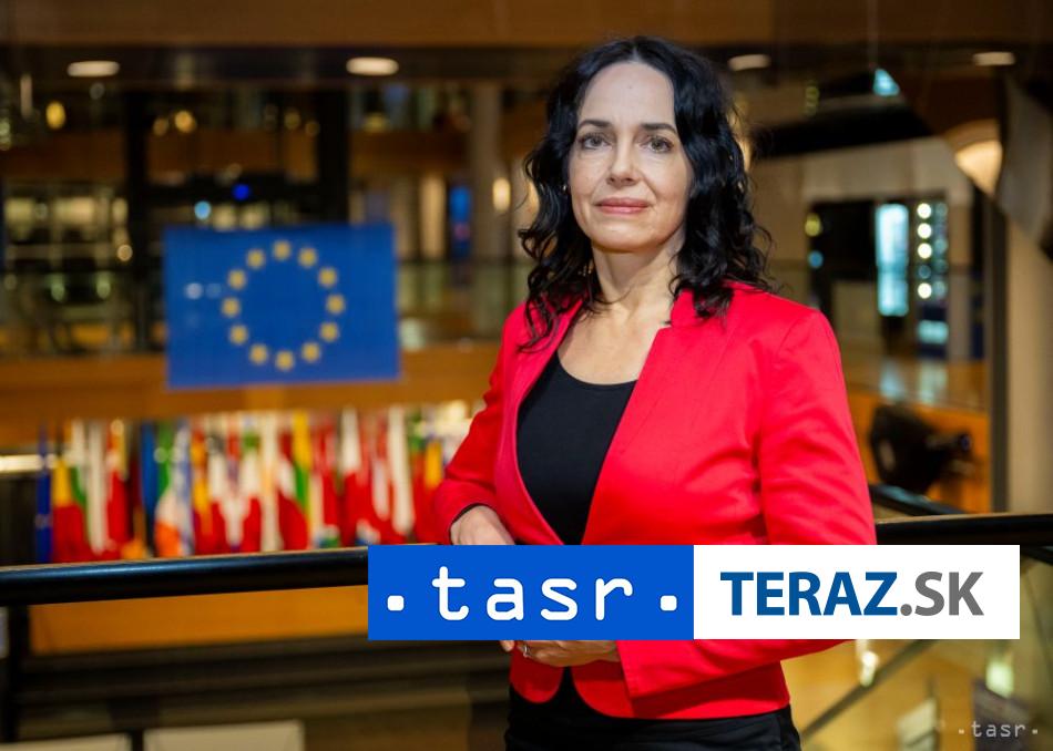 Europarlament prijal uznesenie o vývozných obmedzeniach surovín z Číny