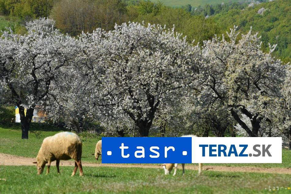 ČR zakázala prevoz zvierat, na hraniciach so SR budú kontroly