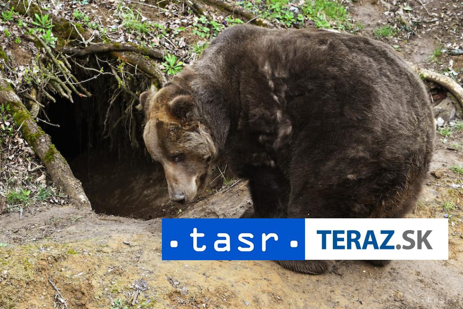Vo viacerých okresoch odvolali mimoriadnu situáciu pre výskyt medveďa