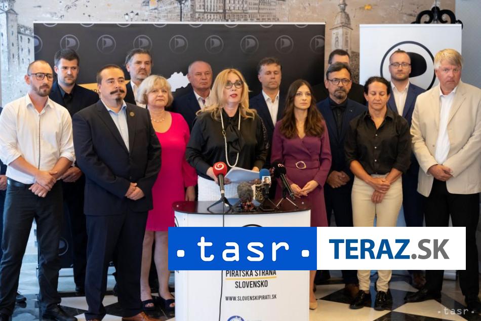 Pirátska strana sa vzdala kandidatúry v prospech Demokratov