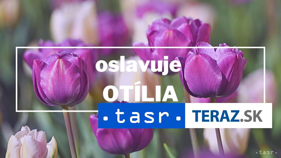 Otílie sú v práci vytrvalé, pozoruhodná je aj ich dôslednosť