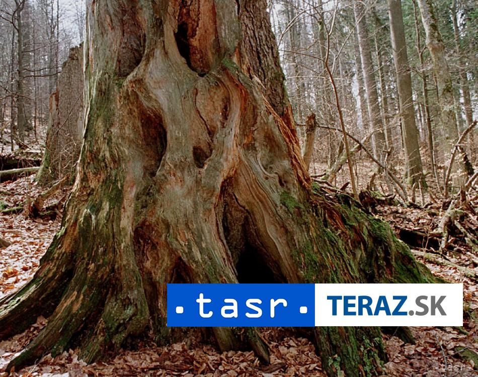 Deti nájdené po 40 dňoch v pralese previezli do nemocnice v Bogote