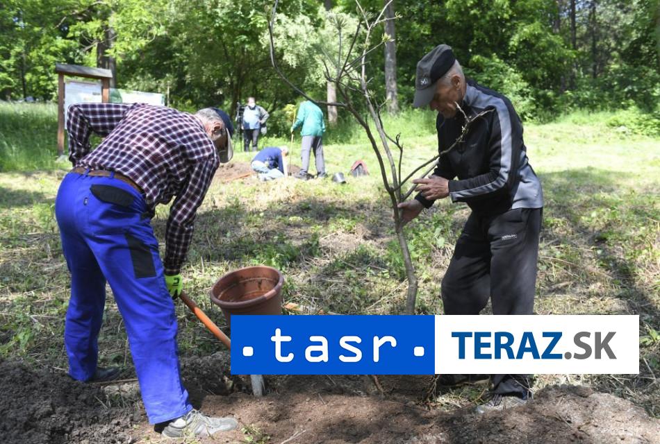 Témou 18. ročníka Zelených oáz je Ruka v ruke