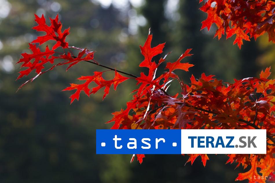 VEĽKÁ PREDPOVEĎ POČASIA: Letu odzvonilo